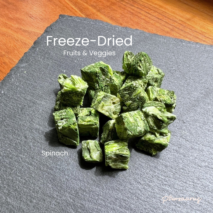 Freeze Dried Spinach – Pawzaurus